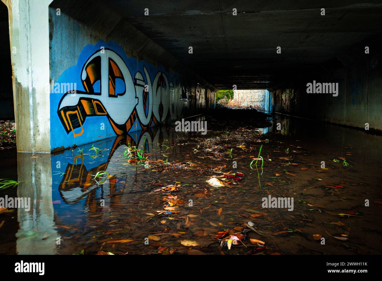 Bold graffiti under a bridge creating a striking contrast with the ...