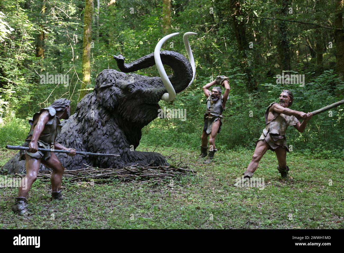 Animal and plant world of prehistory hi-res stock photography and ...