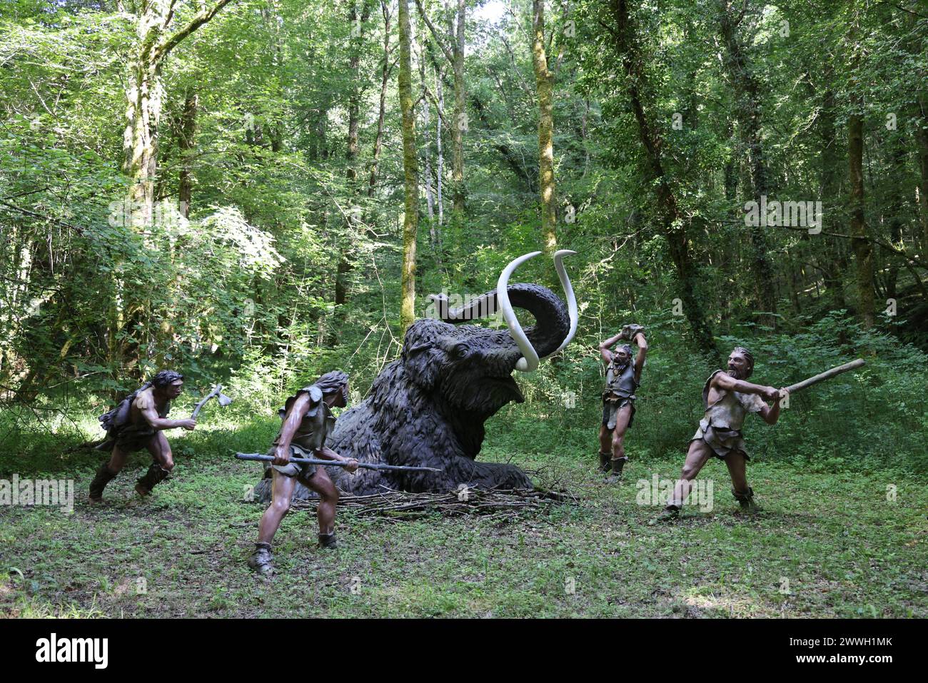 Meat consumption in prehistoric times hi-res stock photography and images - Alamy