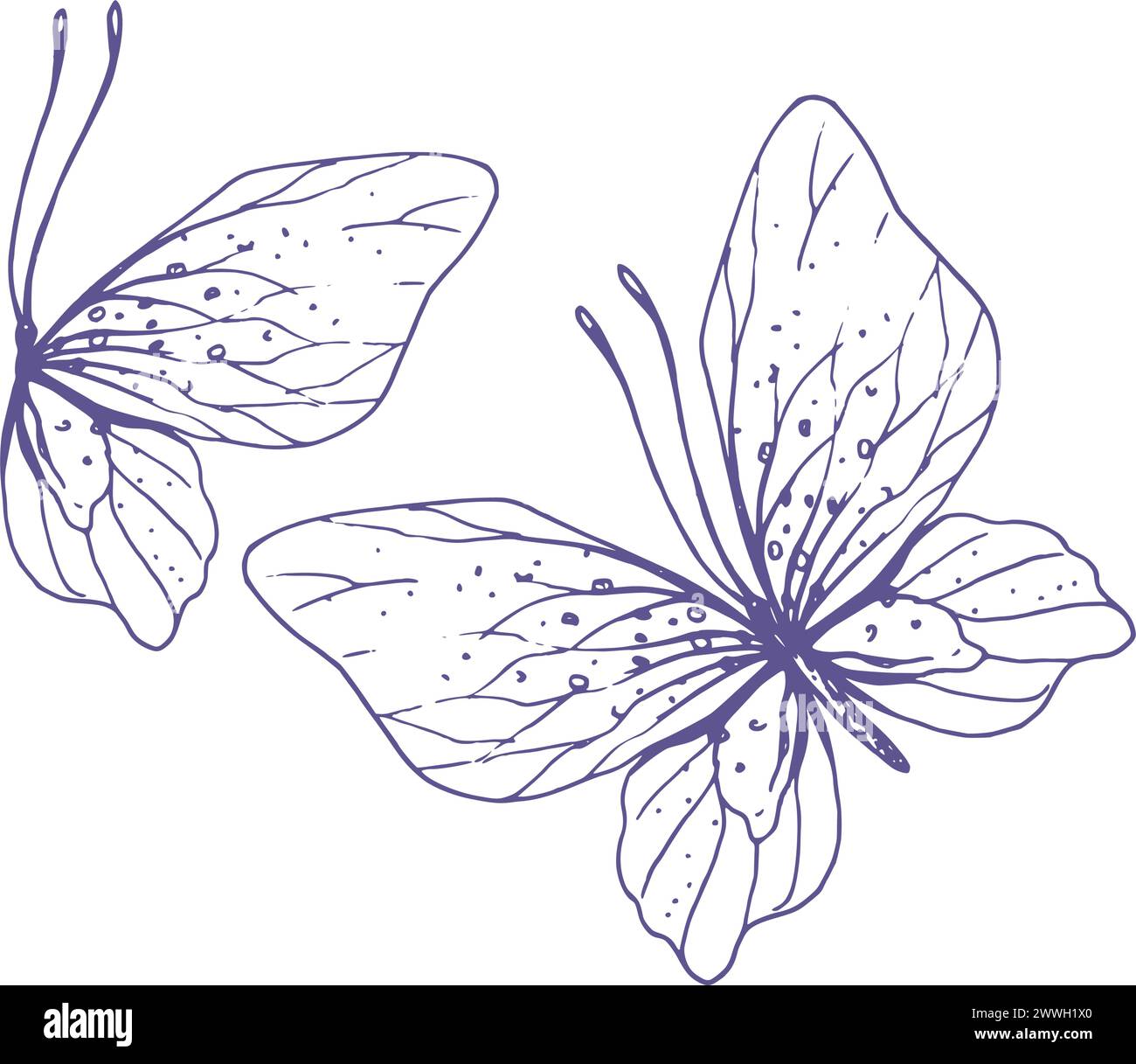 Delicate butterflies with patterns on the wings, simple, sweet, light ...