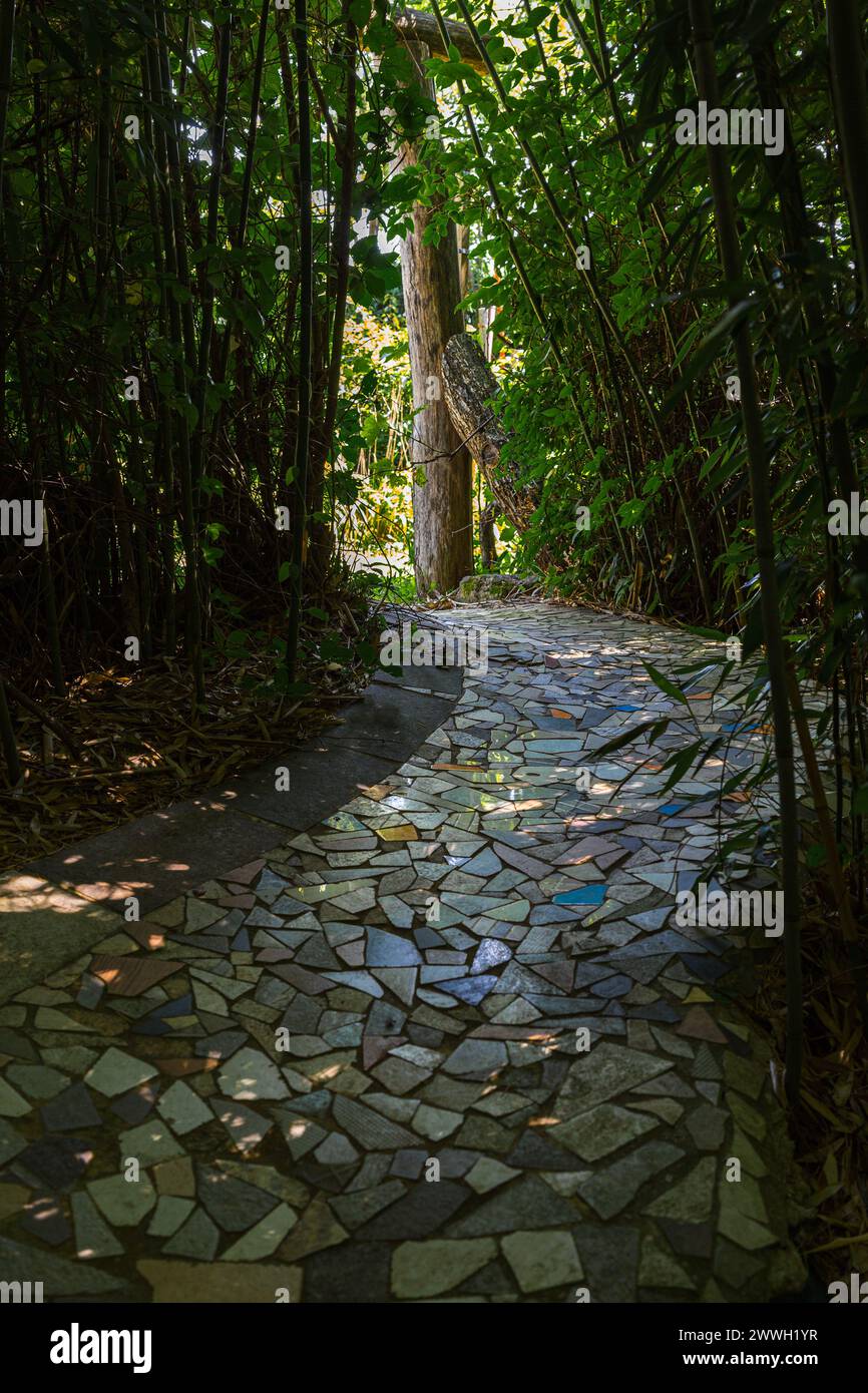Bamboo forest path hi-res stock photography and images - Alamy