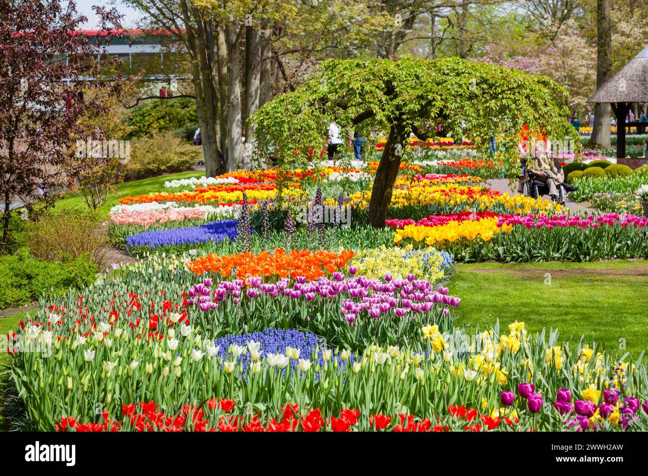 Colourful flowerbeds with attractive displays of brightly coloured ...
