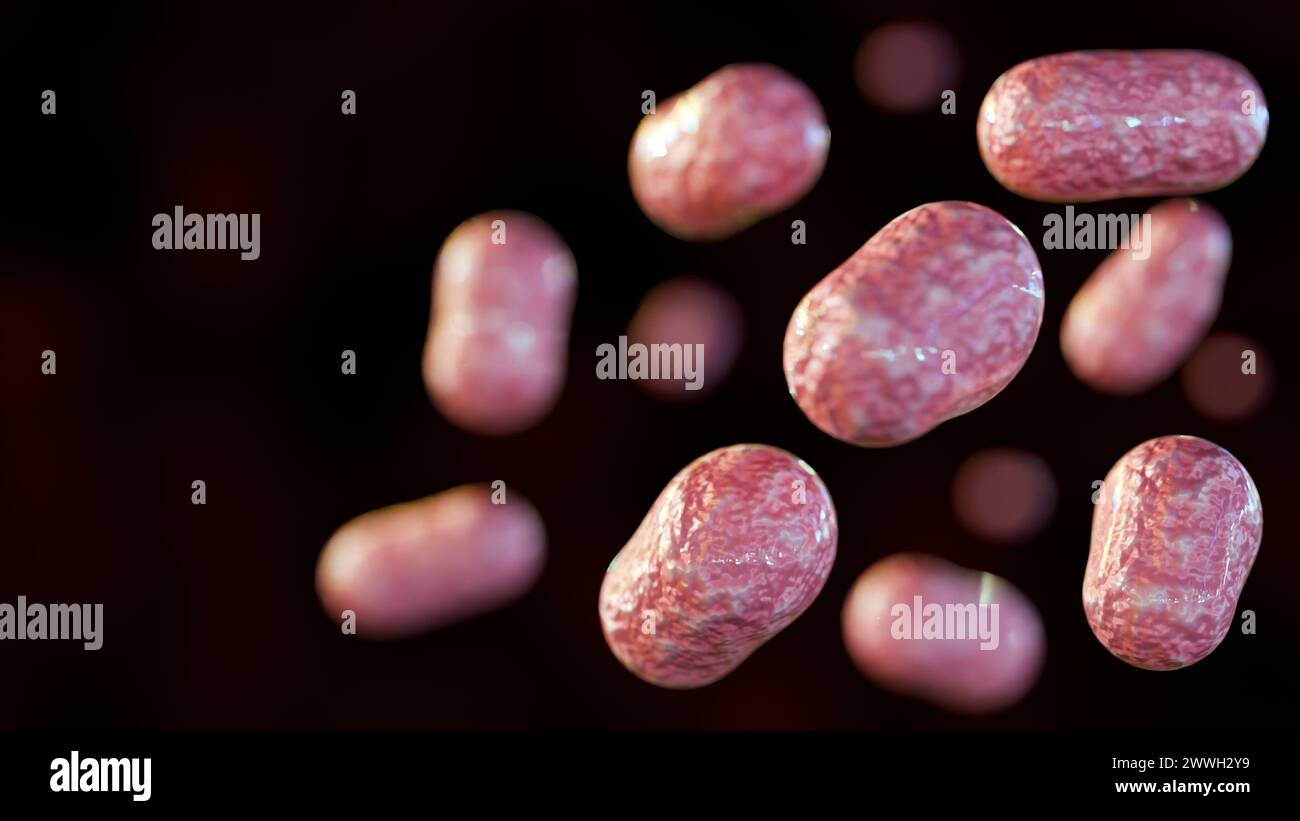 3d rendering of the bacterium Francisella tularensis causes tularemia ...