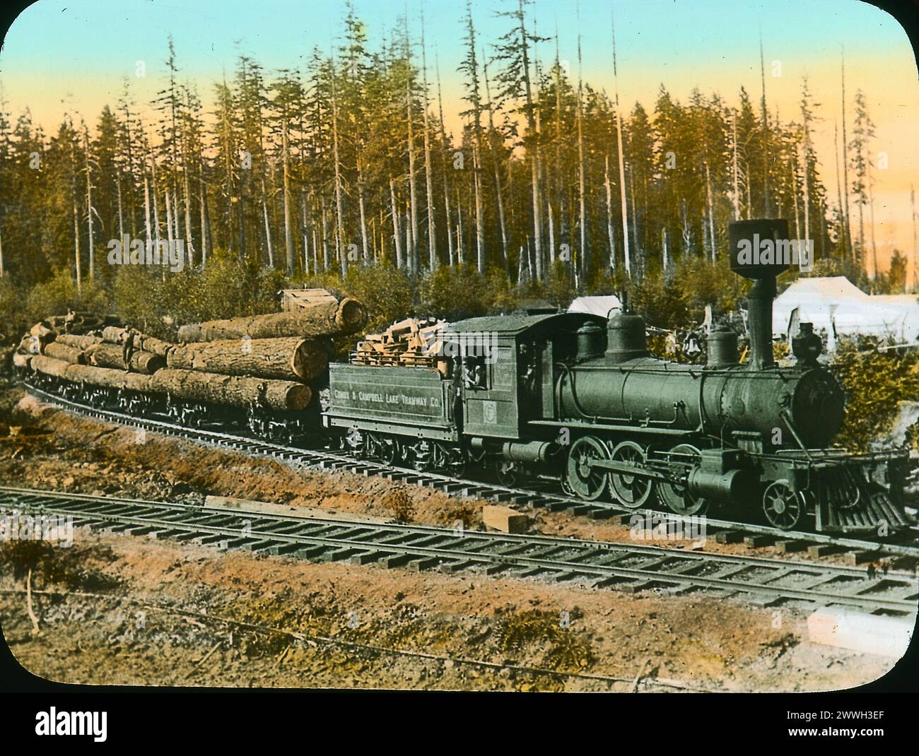 Logging railroad hi-res stock photography and images - Alamy