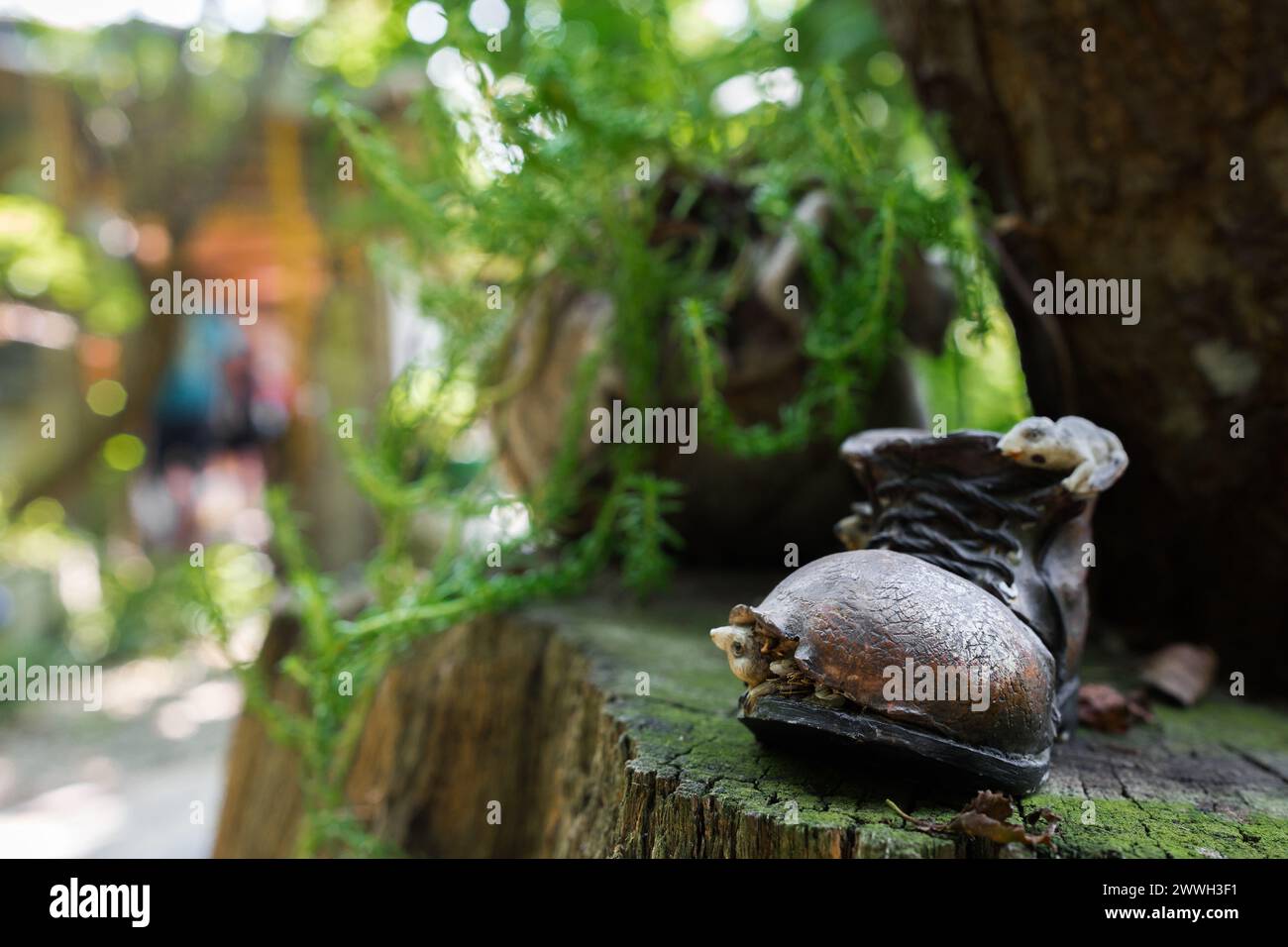 A porcelain shoe on a tree trunk in nature outdoors. Behind are some ...