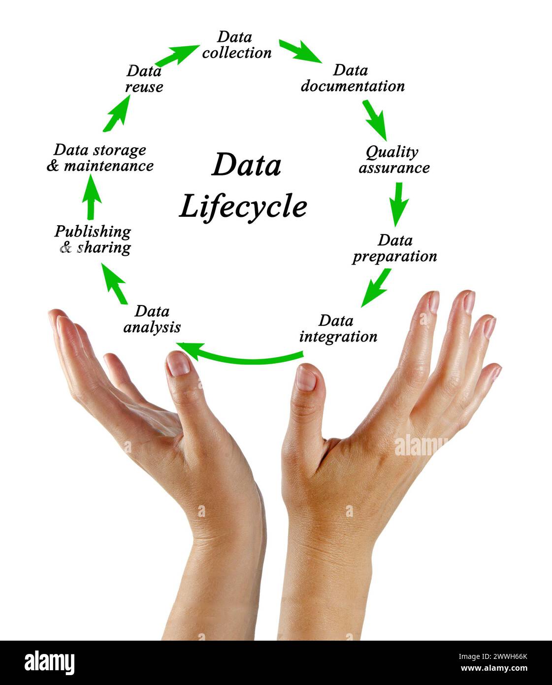 Nine Components of Data Lifecycle Stock Photo - Alamy