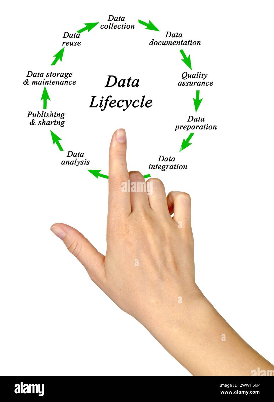 Nine Components of Data Lifecycle Stock Photo - Alamy