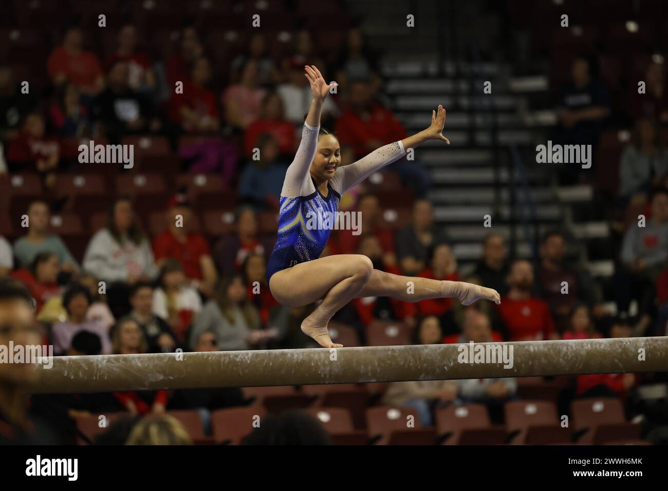 March 23 2024 Gymnast Emma Malabuyo Ucla During The 2024 Pac 12