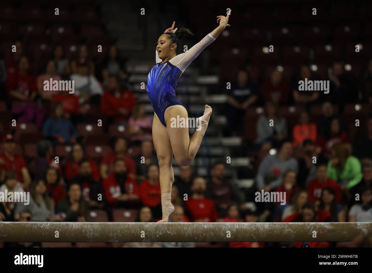 March 23, 2024: Gymnast EMMA MALABUYO (UCLA) during the 2024 Pac-12 ...