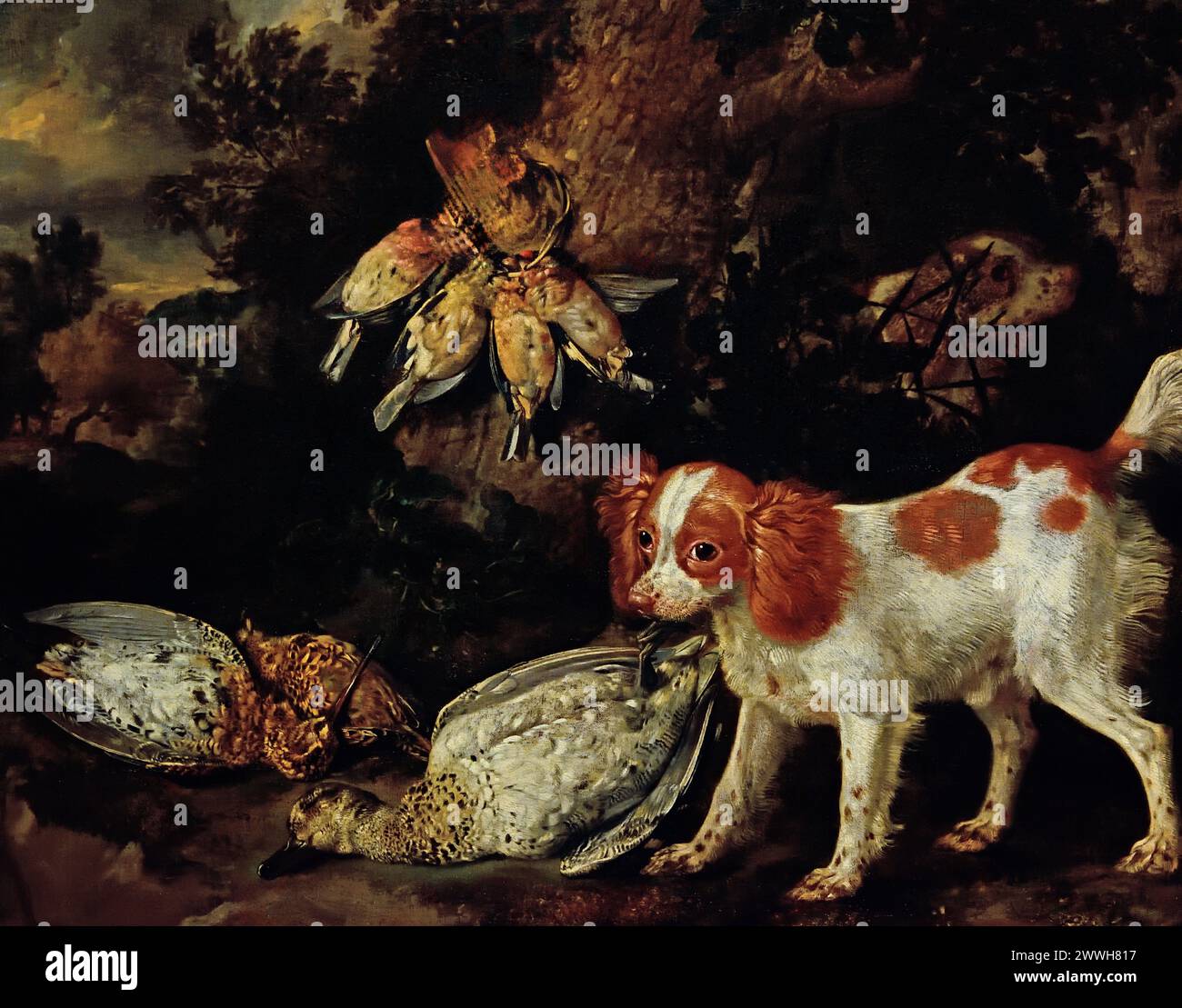 Butterfly dog and dead poultry by Jan Baptist Weenix 1600 - 1699 Museum ...