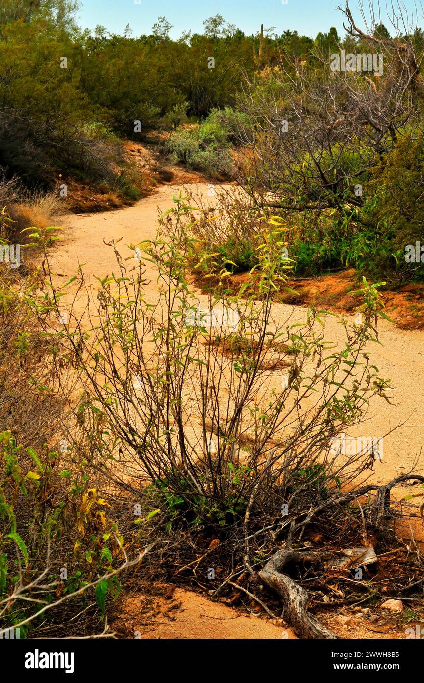 Intermittent flow hi-res stock photography and images - Alamy