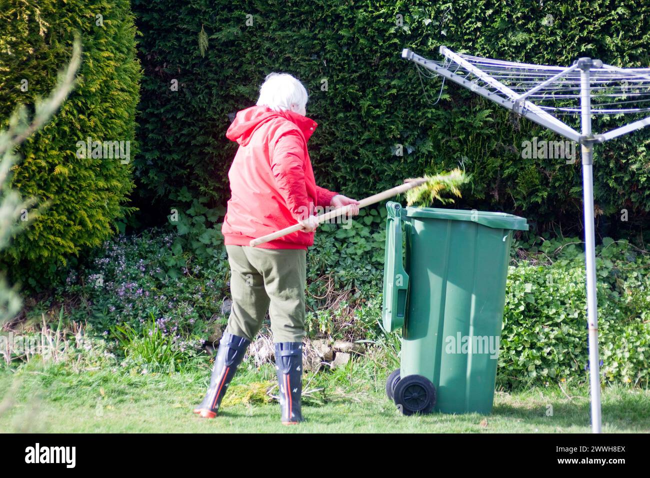Cleaning up after cutting hedge Stock Photo - Alamy