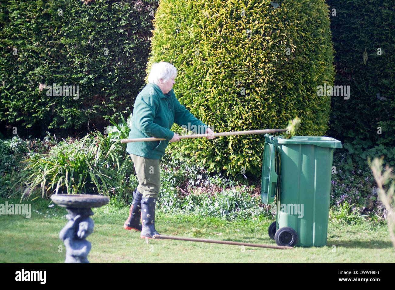 Cleaning up after cutting hedge Stock Photo - Alamy