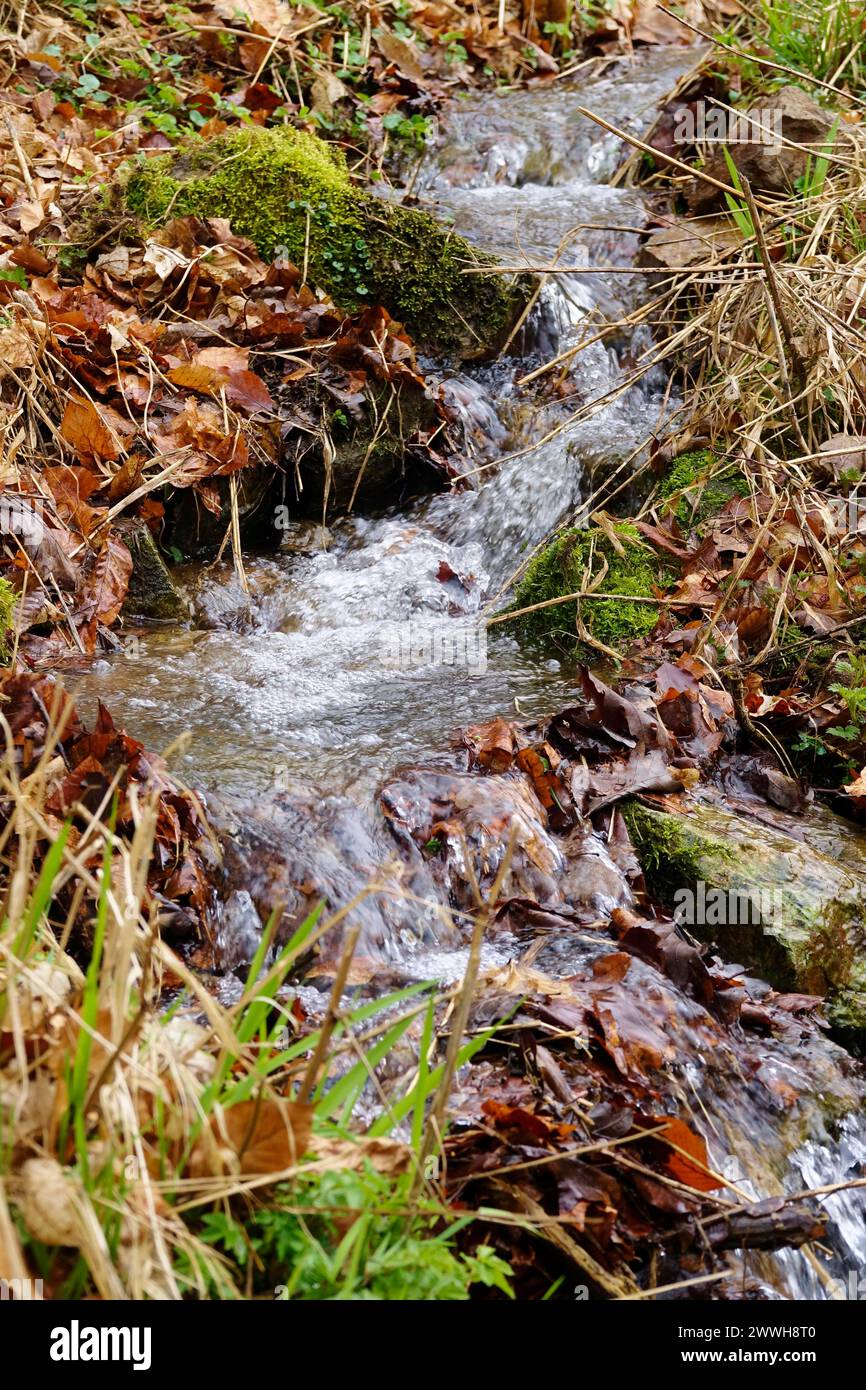 Early spring in central hi-res stock photography and images - Alamy