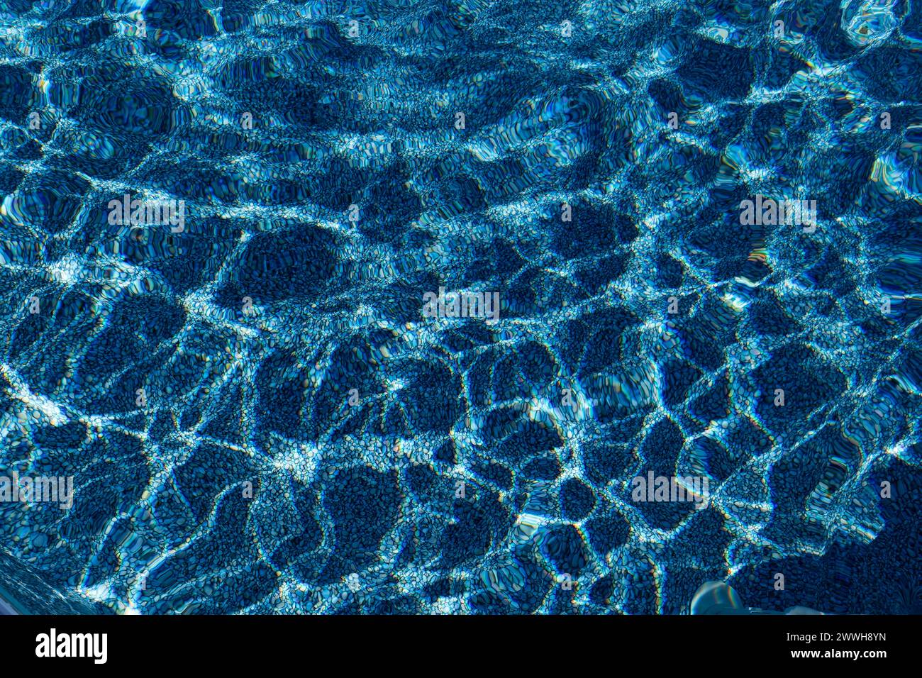 Water, reflection pattern in a swimming pool, Province of Quebec ...
