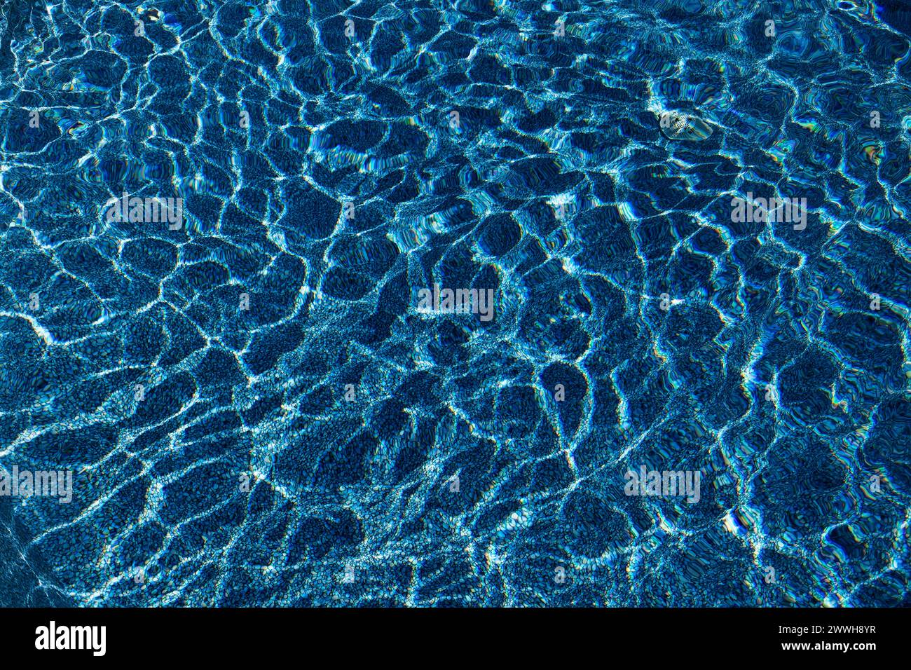 Water, reflection pattern in a swimming pool, Province of Quebec ...