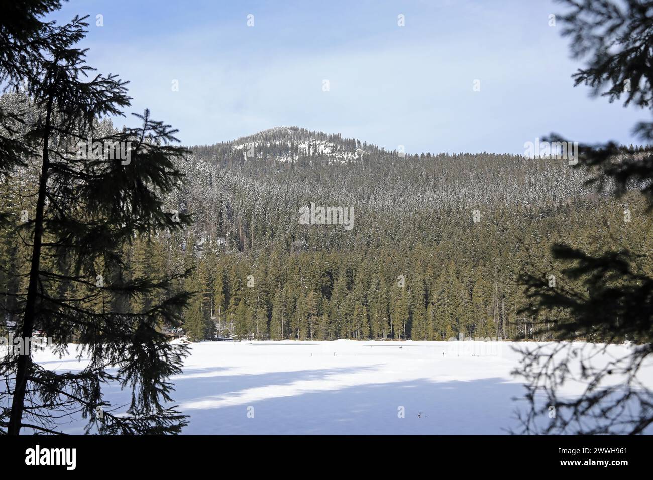 Kleiner Arbersee, Lohberg, Bavarian Forest National Park, Germany Stock ...
