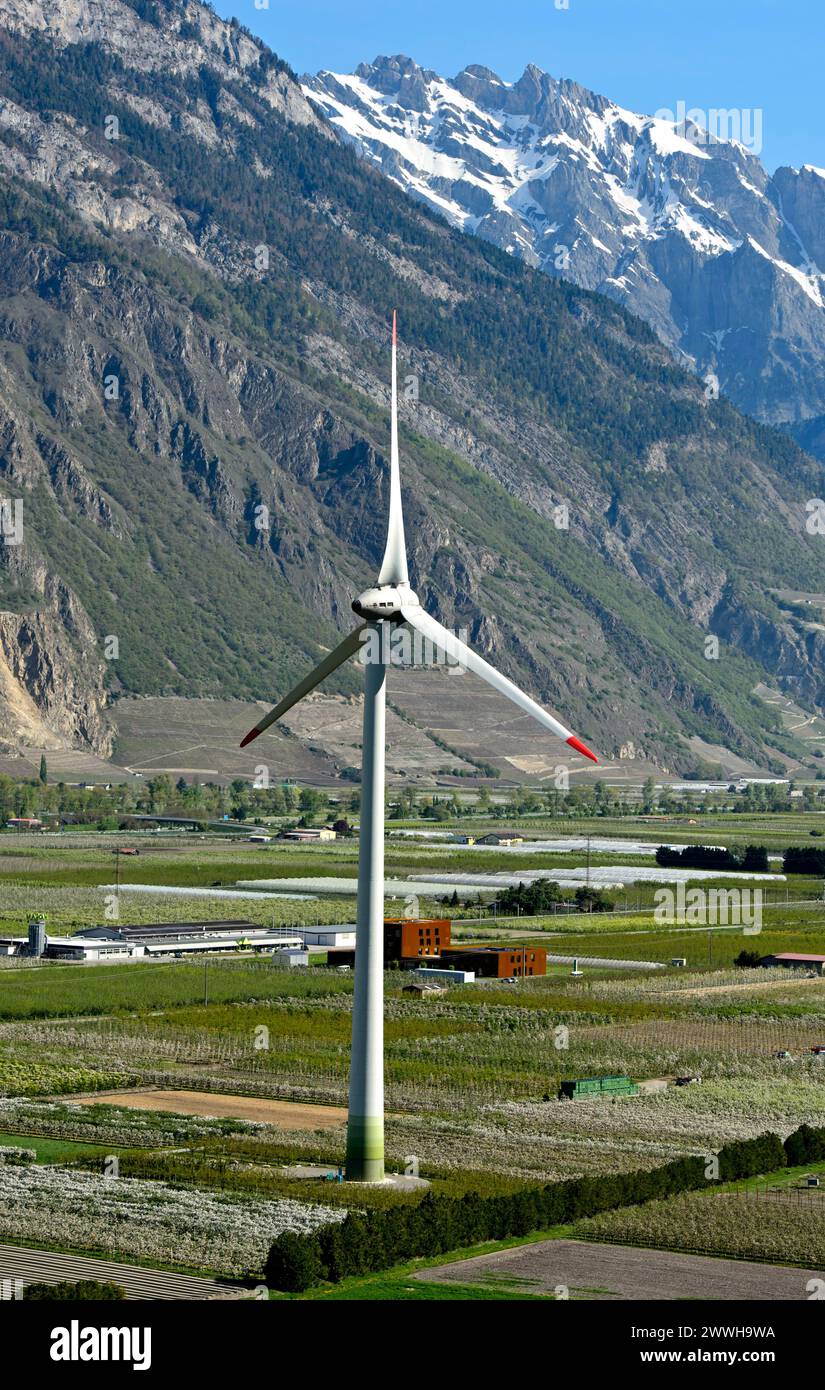 Enercon E-101 wind turbine of the Adonis wind power plant in the Rhone ...