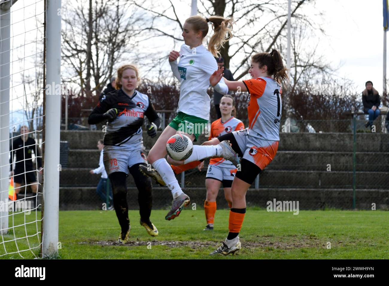 Velesovo, Slovenia. 24th Mar, 2024. Velesovo, Slovenia, March 24th 2024 ...