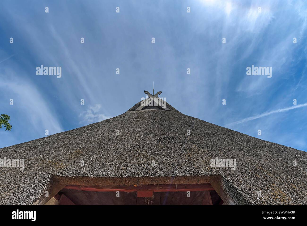 Thatched gable with horse heads as gable decoration on a historic ...