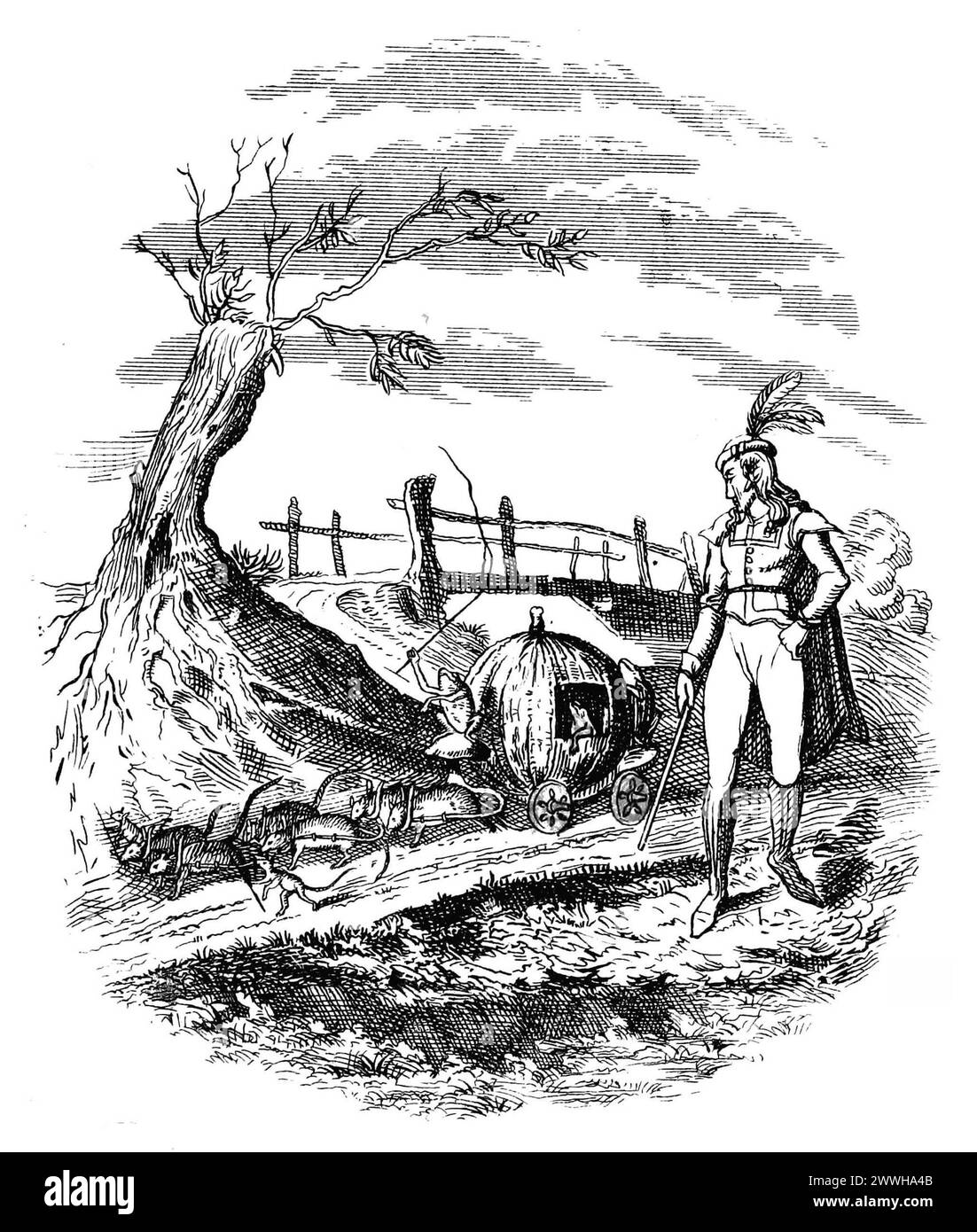 "The Tale of the Toad Stock Photo - Alamy