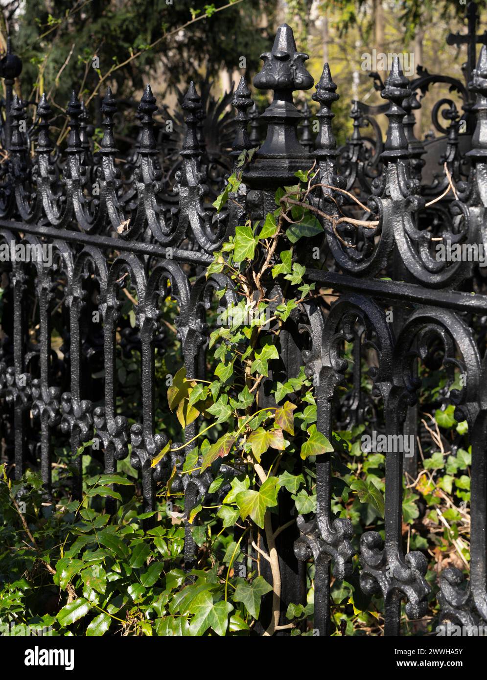 Grave fencing hi-res stock photography and images - Alamy