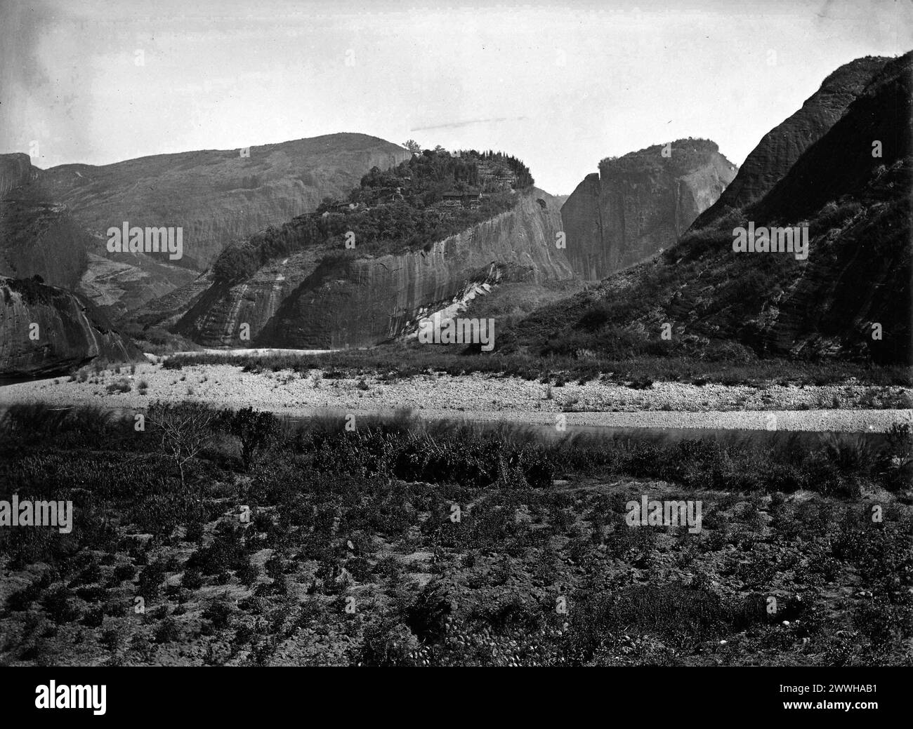 Sing chang tea hi-res stock photography and images - Alamy