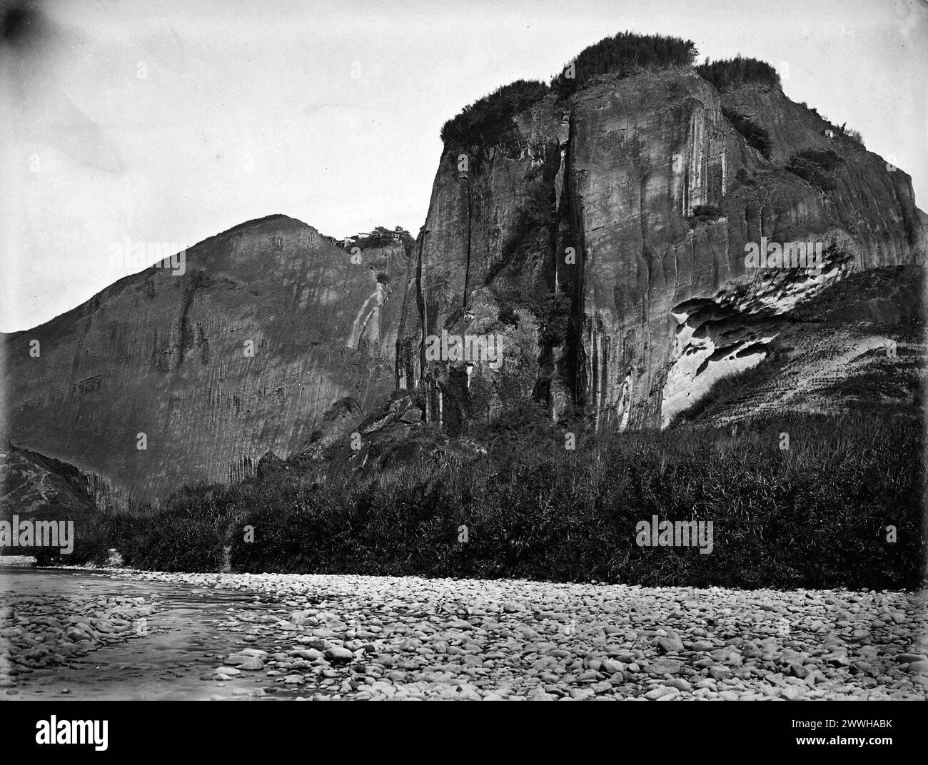 Sing chang tea hi-res stock photography and images - Alamy