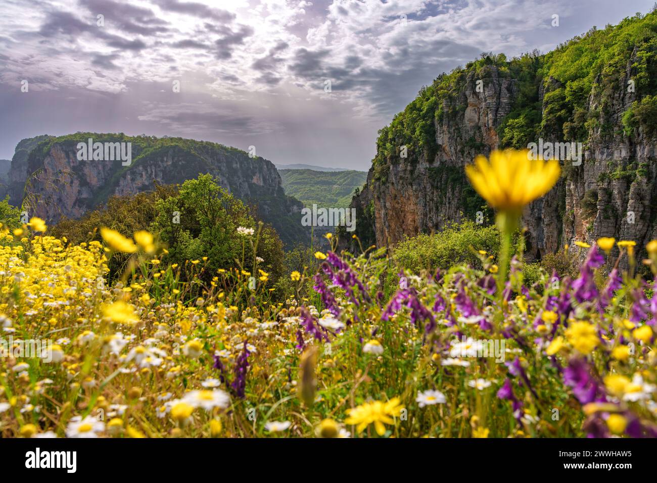 Vikos gorge in pindus mountains hi-res stock photography and images - Alamy