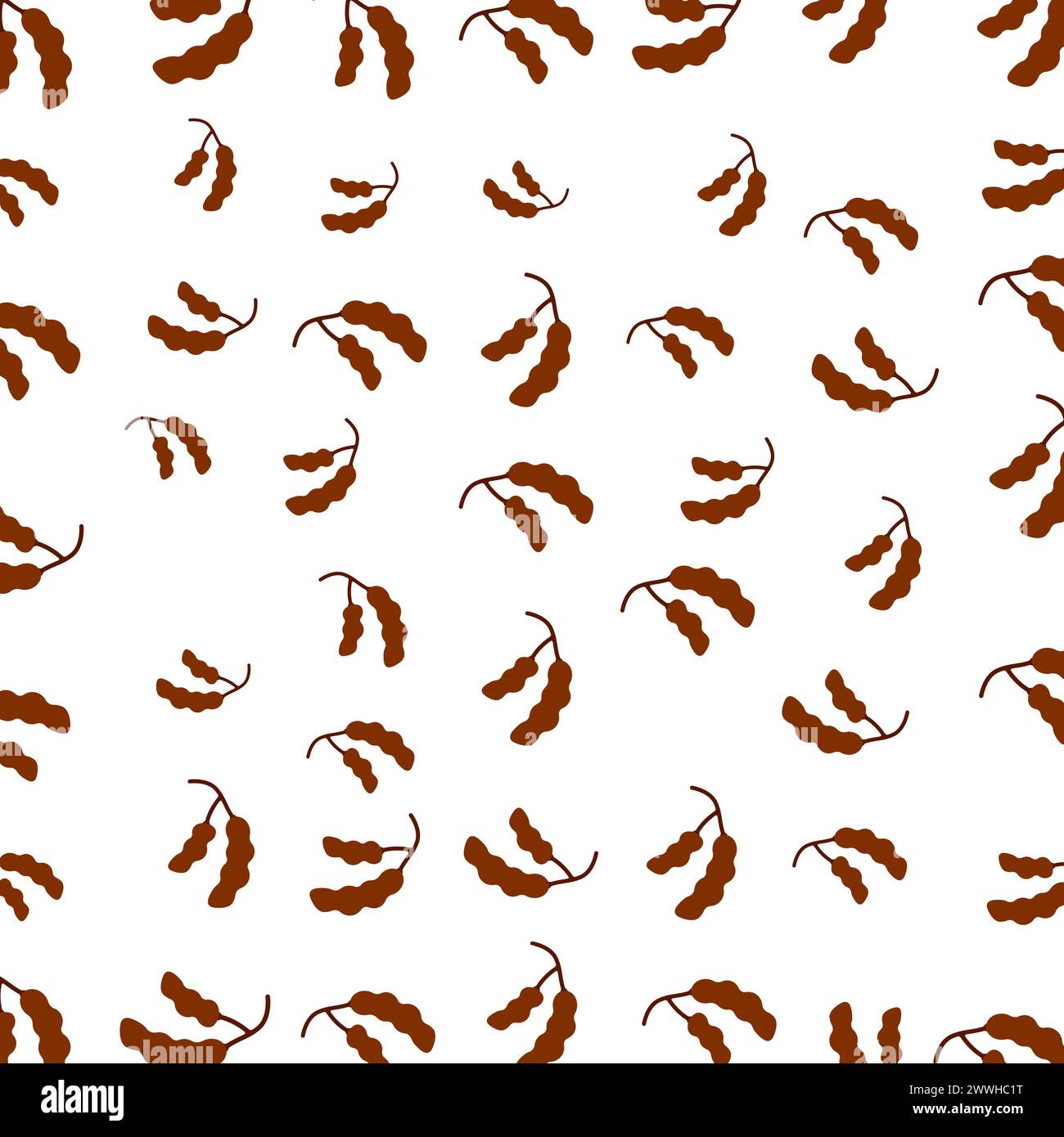 Seamless pattern with Tamarind on a white background Stock Vector Image ...