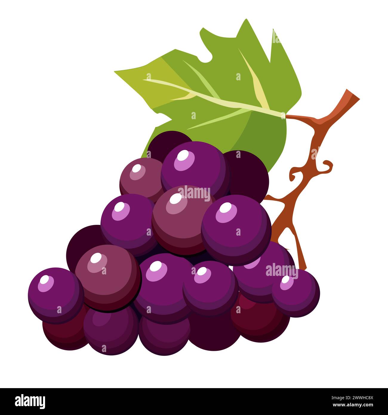Bunch green grapes in Stock Vector Images - Alamy