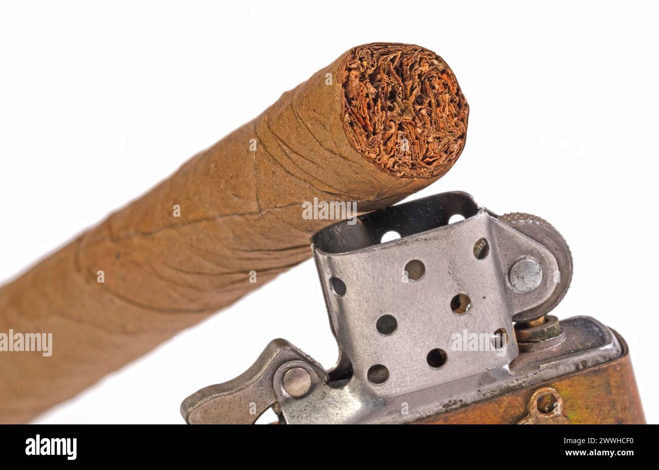 Cigar, close up.- Isolated on a white background Stock Photo - Alamy