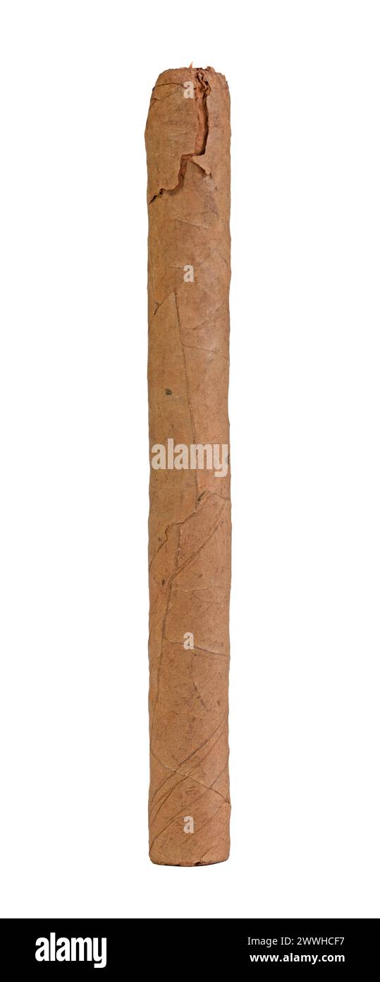 Cigar, close up.- Isolated on a white background Stock Photo - Alamy