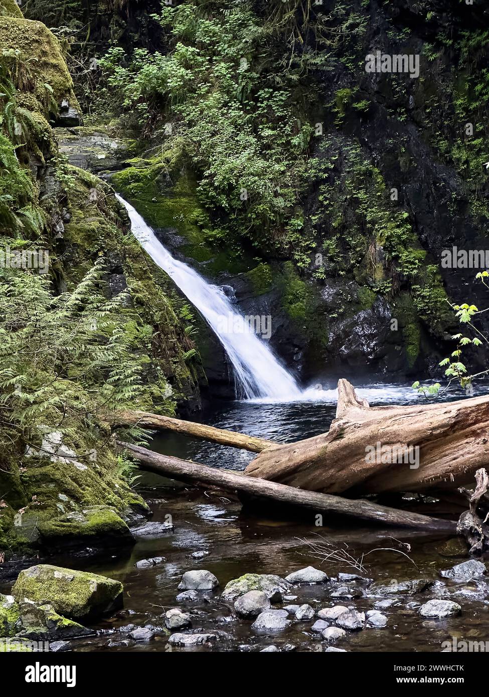 Large logs block the stream bed in front of a beautiful water fall ...