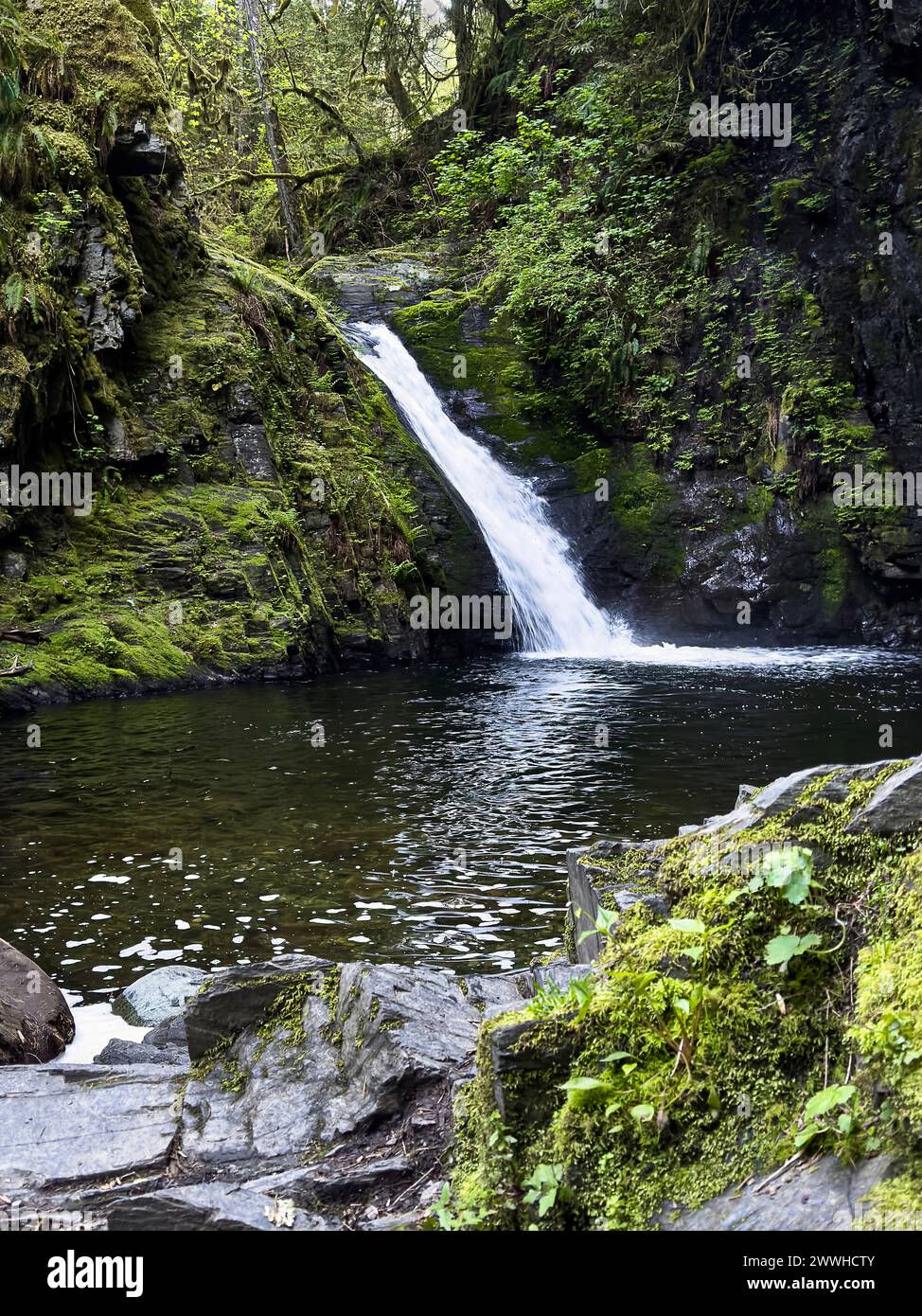 Goldstream provincial park hiking hi-res stock photography and images ...