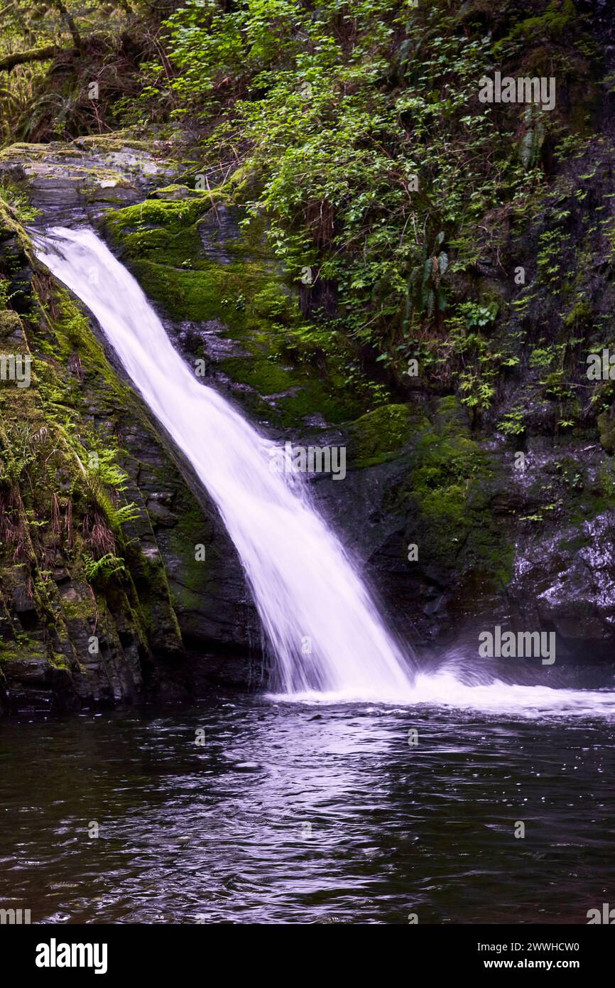 Beautiful Goldstream Waterfalls surrounded by lush green foilage ...