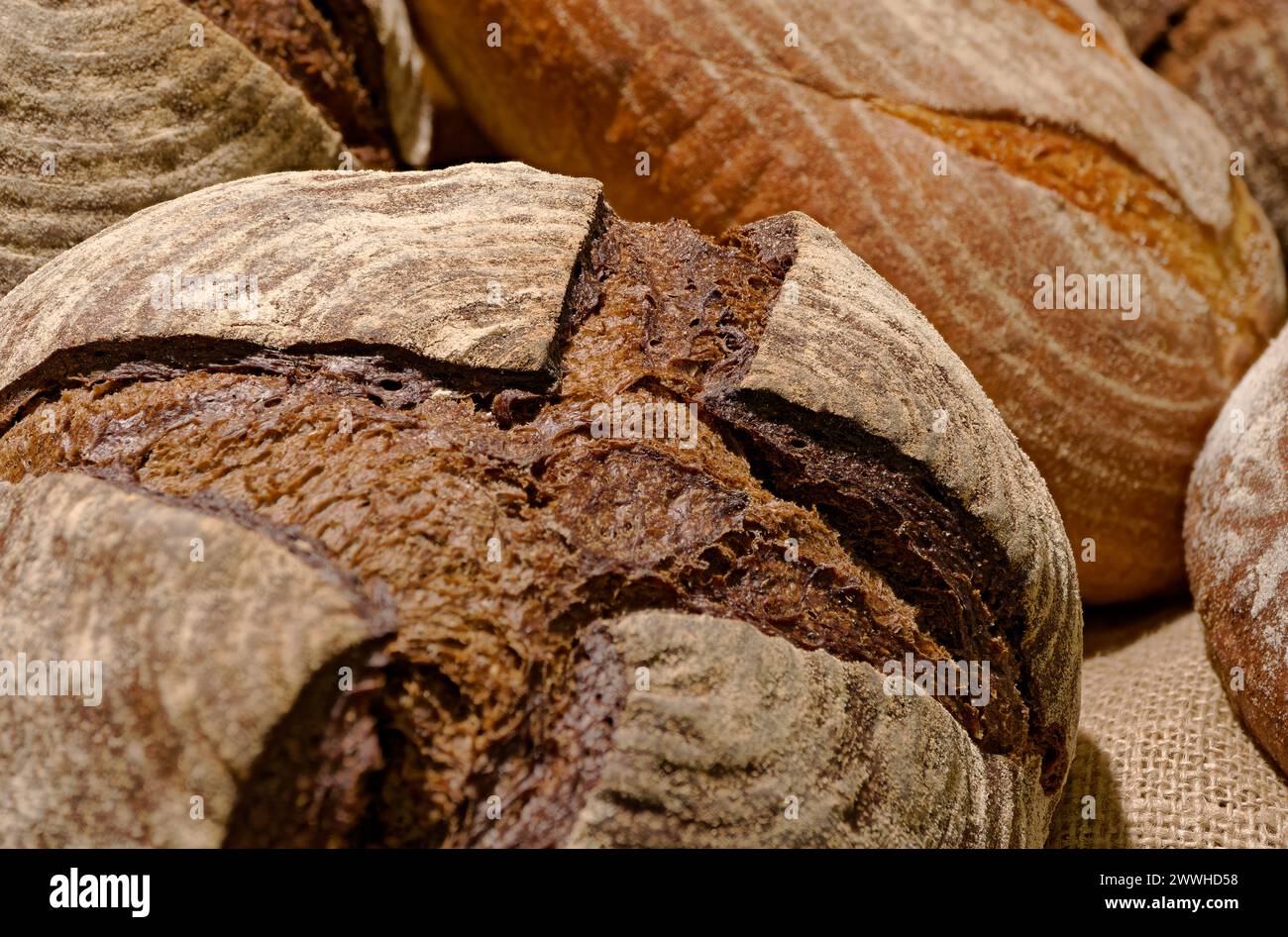 Group of assorted loaves of freshly baked traditional rye bread ...