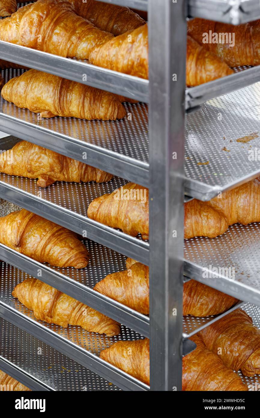 Fresh croissants on a steel kitchen rack Stock Photo - Alamy