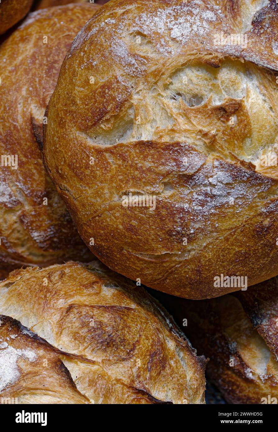 Group of large loaves of freshly baked traditional wheat bread ...