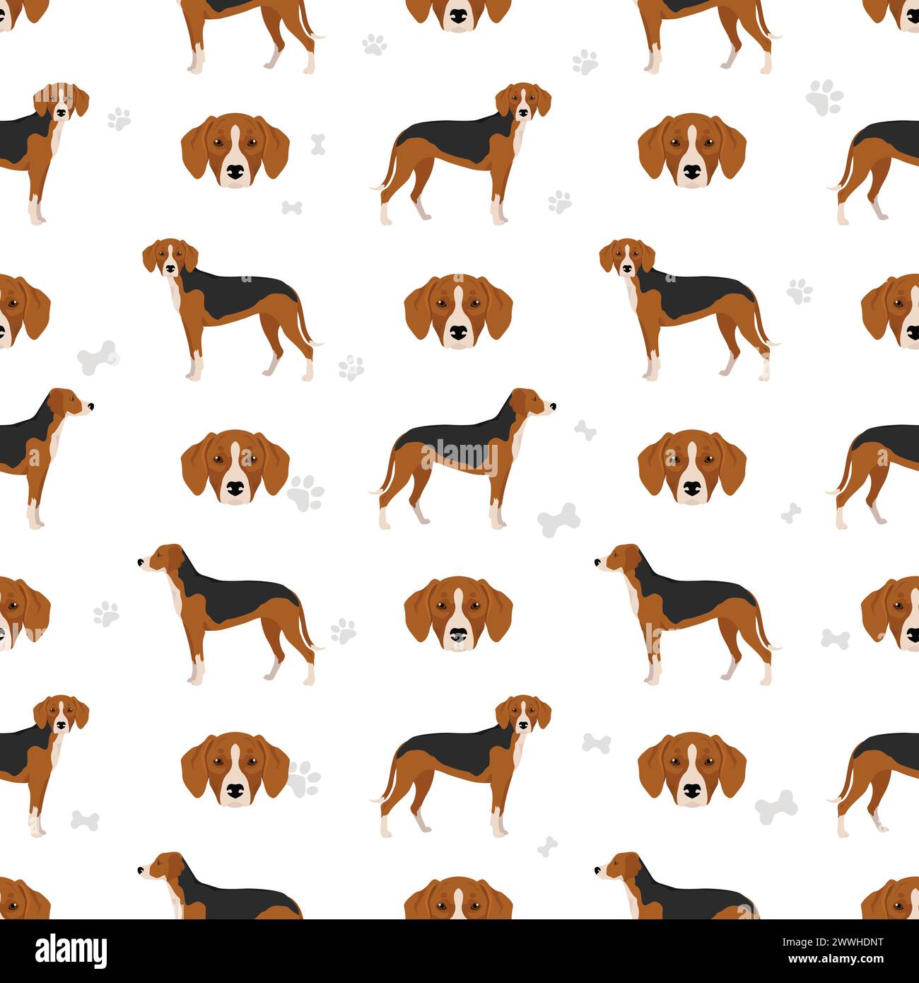 Finnish Hound seamless pattern. Different coat colors set. Vector ...