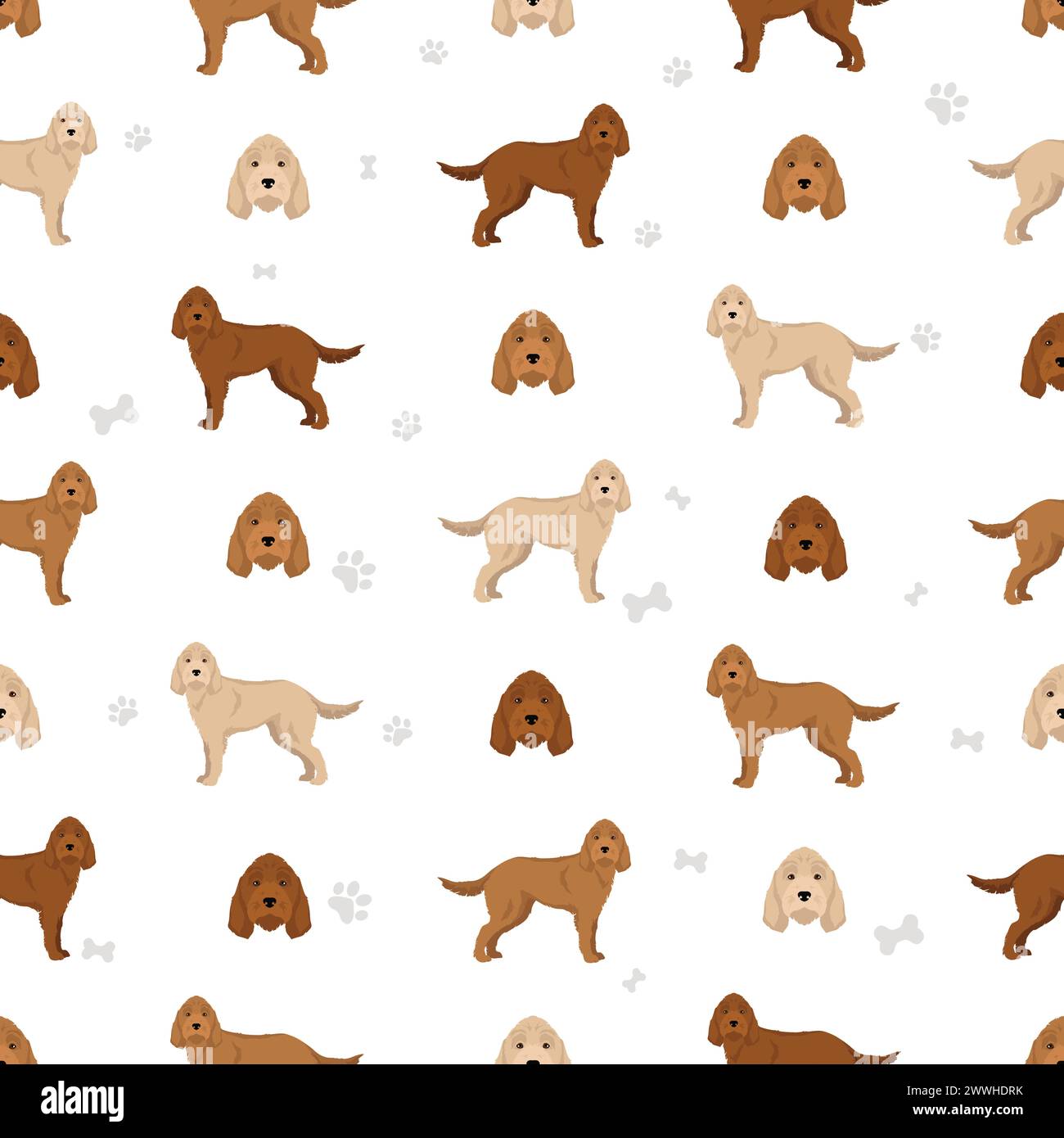 Fawn Brittany Griffon seamless pattern. Different coat colors set ...