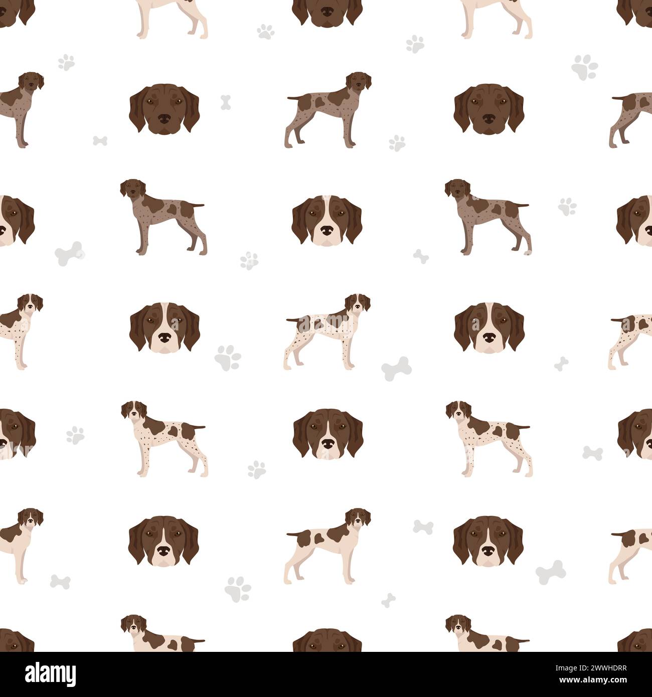 French pointing dog, Gascogne type seamless pattern. Different poses ...