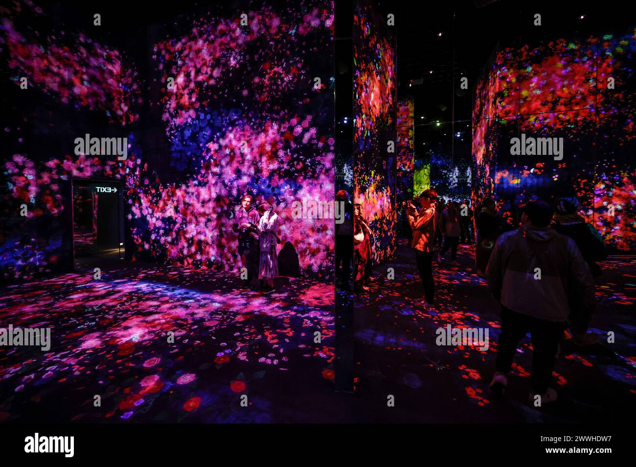TEAMLAB BORDERLESS TOKYO Stock Photo - Alamy