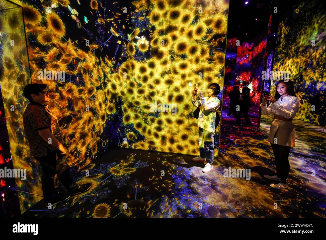 TEAMLAB BORDERLESS TOKYO Stock Photo - Alamy