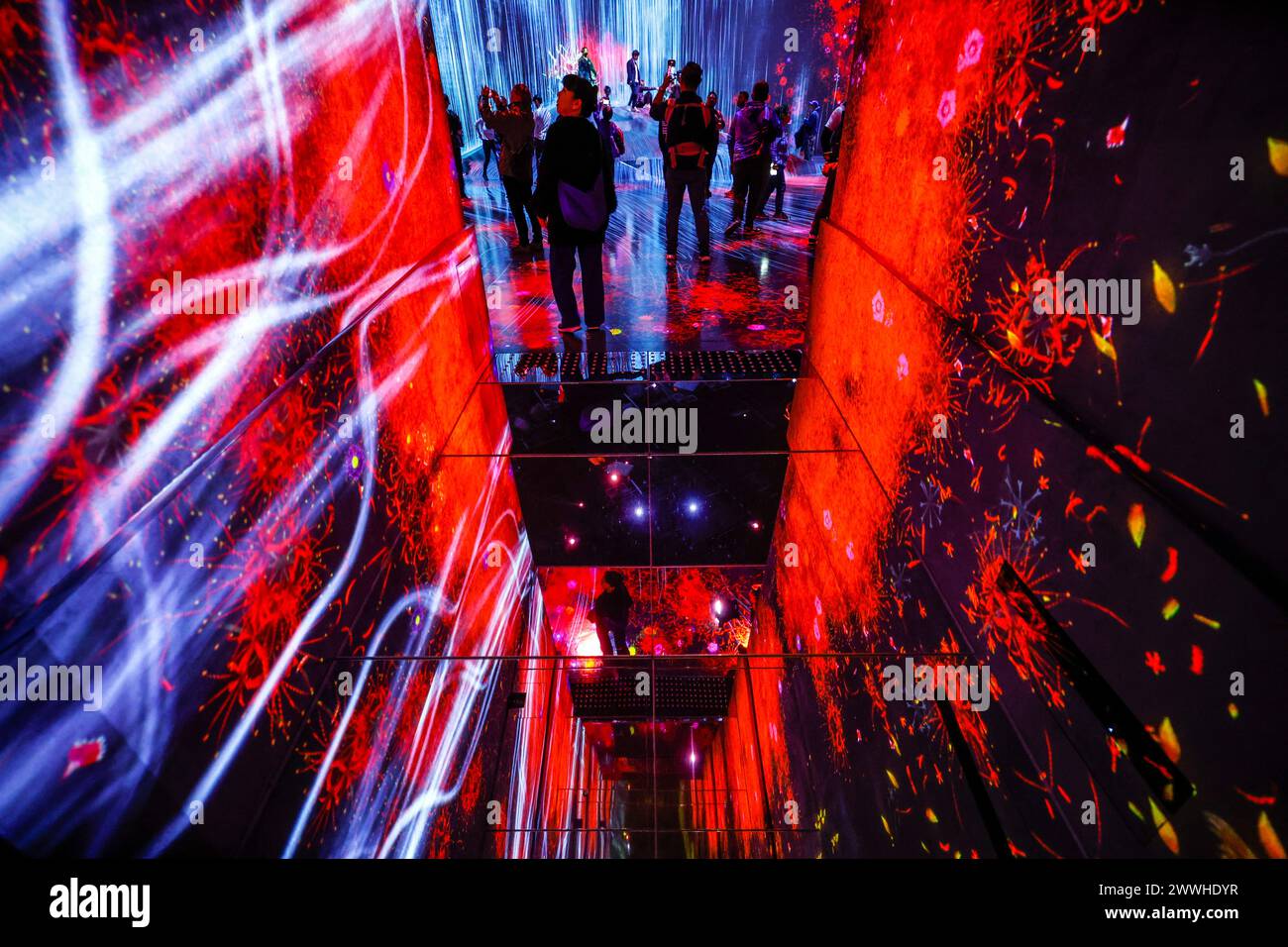 TEAMLAB BORDERLESS TOKYO Stock Photo - Alamy