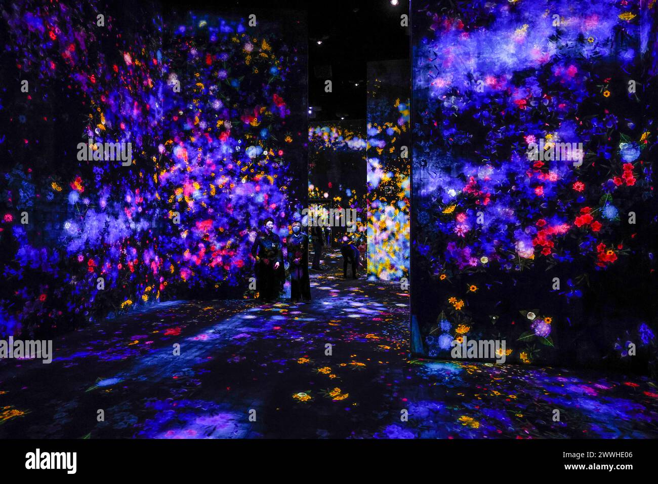 TEAMLAB BORDERLESS TOKYO Stock Photo - Alamy