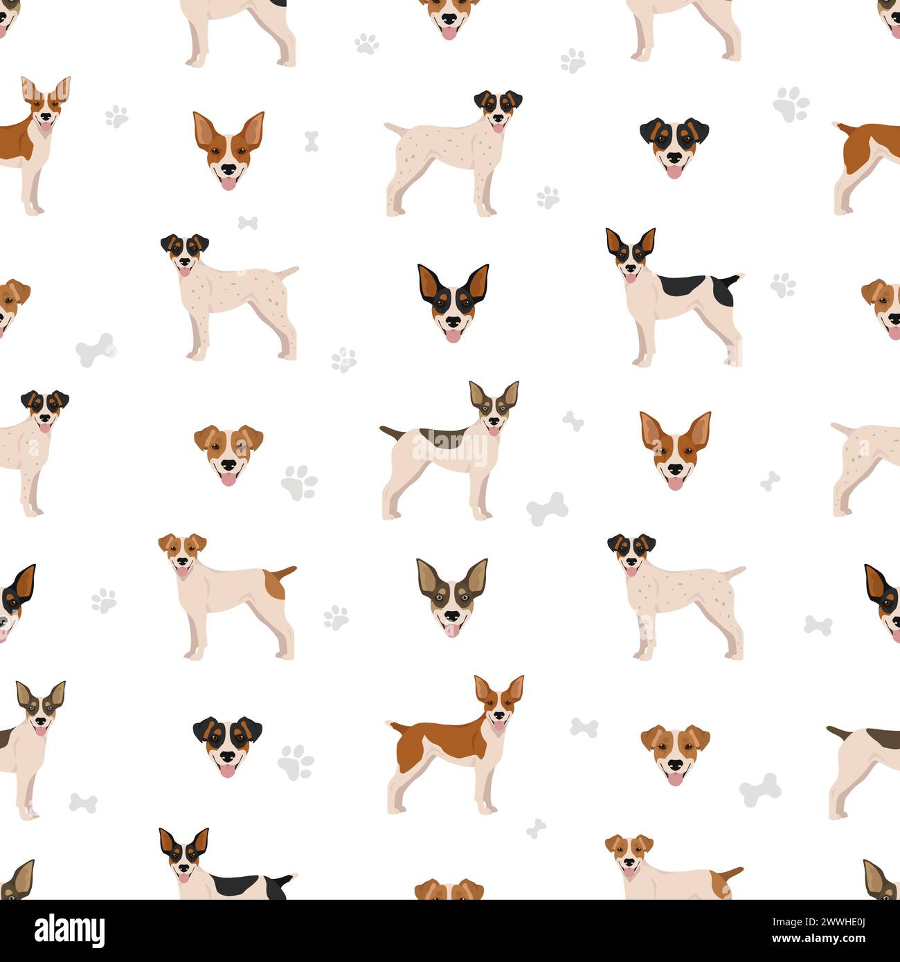 Feist dog Stock Vector Images - Alamy