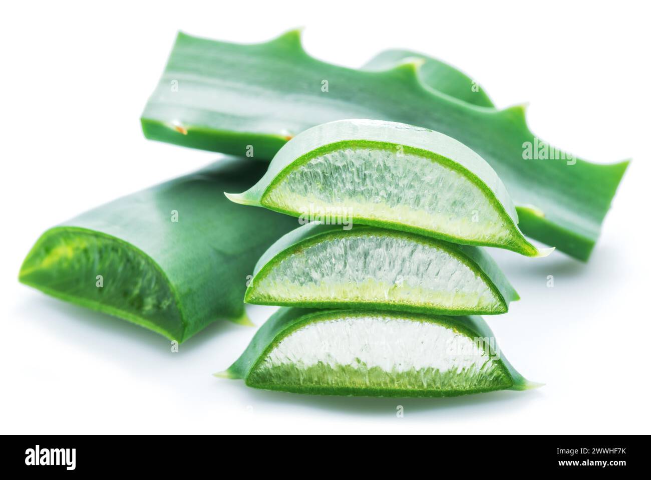 Cuts of aloe vera leaf macro shot. Fresh aloe vera leaves isolated on white background Stock ...