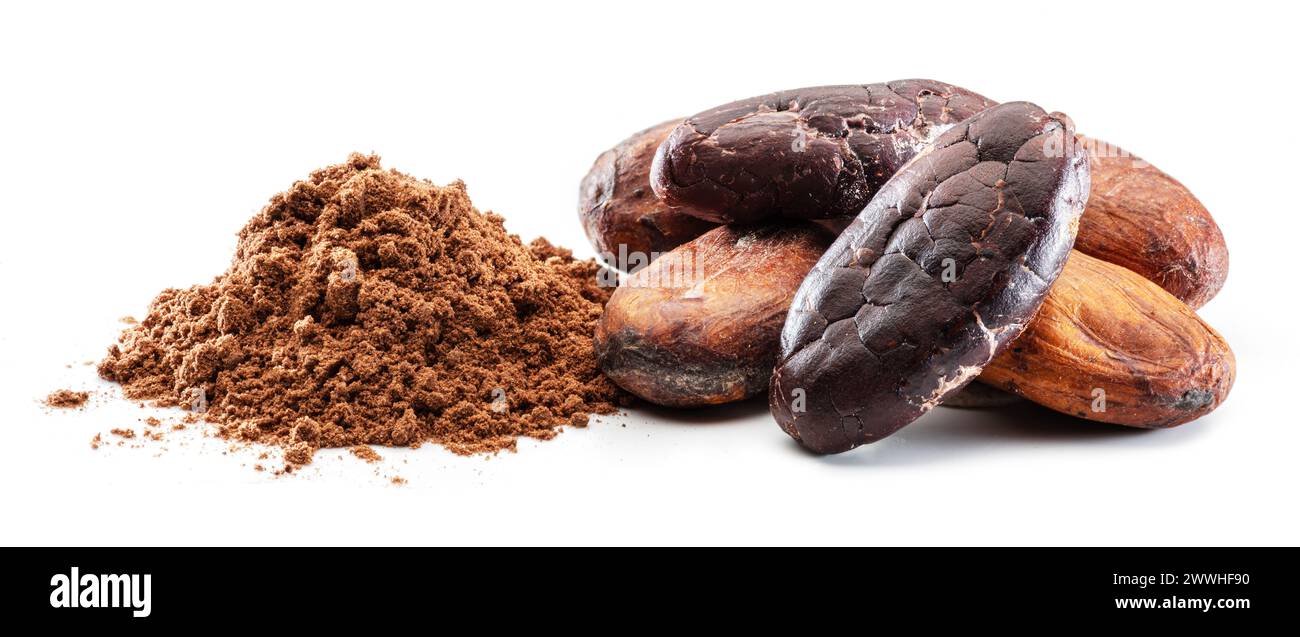 Cocoa beans and cocoa powder close-up on white background Stock Photo ...