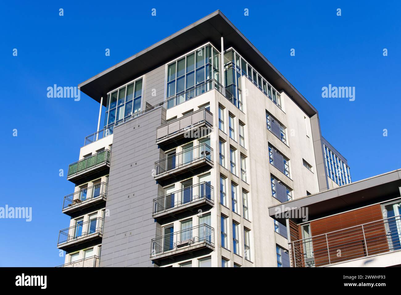 Modern high rise flats at new development on waterfront Stock Photo - Alamy